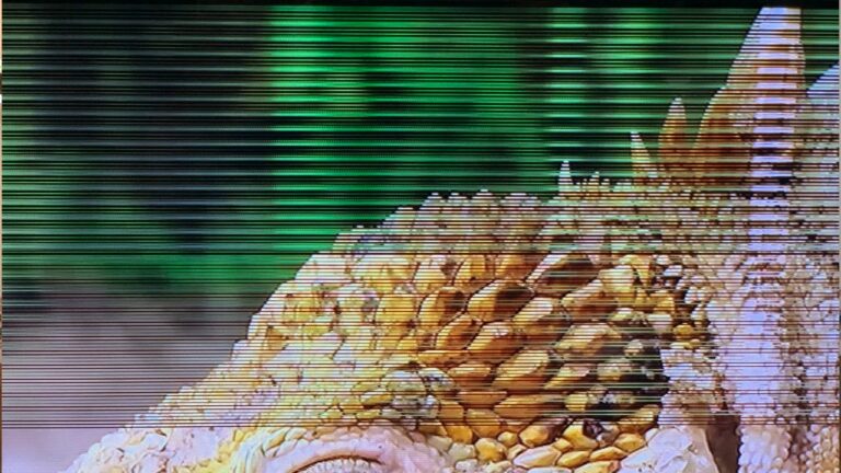 How to Fix Horizontal Lines on TV Screen? - 10 Proven Ways to Fix It